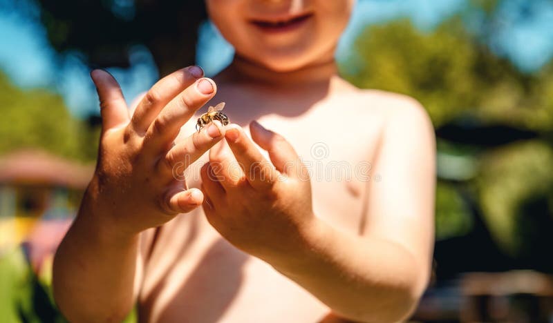 The Boy Holds a Bee in His Hand. Stock Image - Image of agriculture ...