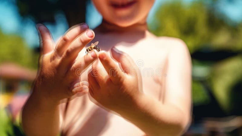 The Boy Holds a Bee in His Hand. Loop Animation. Stock Footage - Video ...
