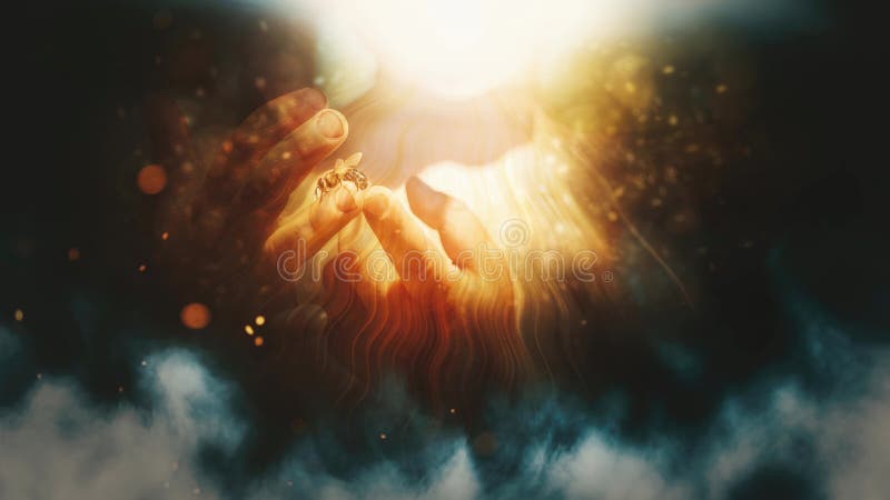 The Boy Holds a Bee in His Hand and Magic Light and Mist Effect. Stock ...