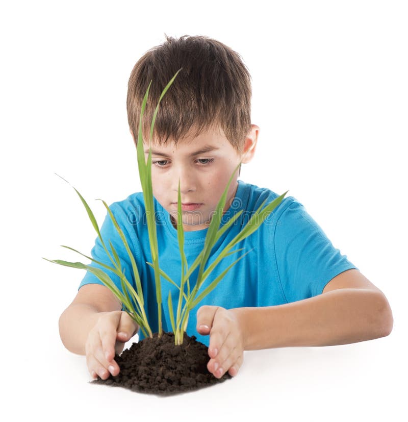 Adorable Asian Little Boy Giving a Tree Pot for You Against White ...