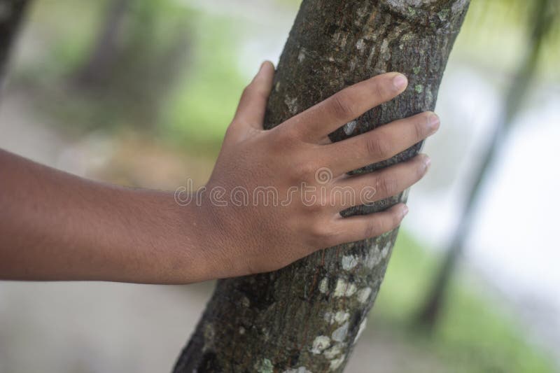A Boy is Holding a Tree Stick with His Hand Stock Photo - Image of body ...