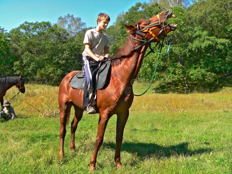 Boy on Horse stock image. Image of saddle, horses, gallop - 2127337
