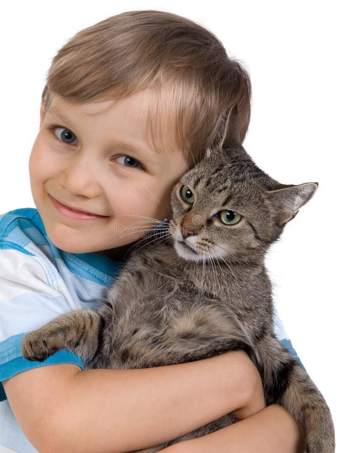 1,873 Cute Little Kitty Boy Stock Photos - Free & Royalty-Free Stock ...