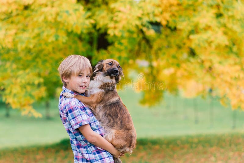 Boy Hugging Dog and Playing with in the Fall, City Park Stock Image ...