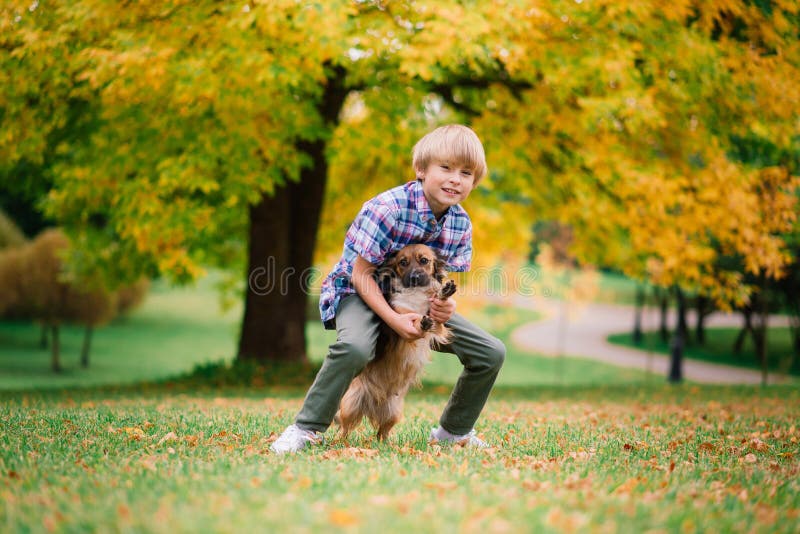 Boy Hugging Dog and Plyaing with in the Fall, City Park Stock Image ...