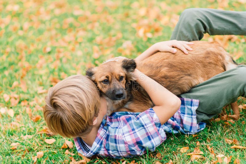 Boy Hugging Dog and Plyaing with in the Fall, City Park Stock Image ...