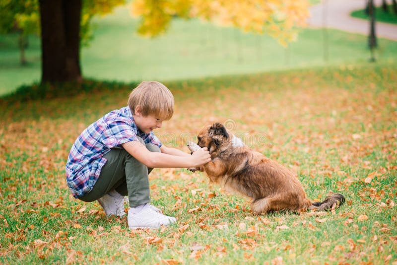 Boy Hugging Dog and Plyaing with in the Fall, City Park Stock Photo ...