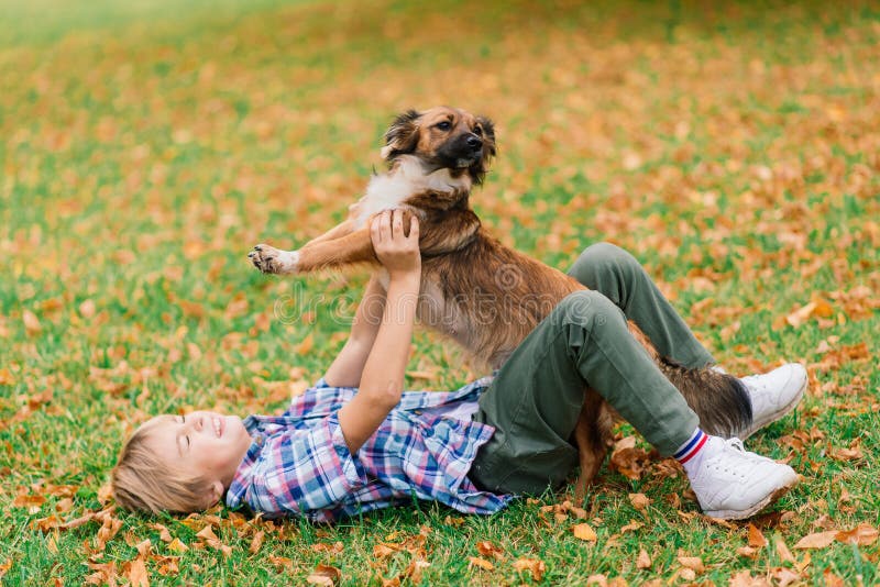 Boy Hugging Dog and Plyaing with in the Fall, City Park Stock Photo ...