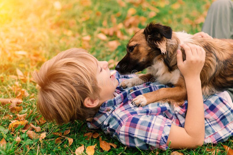 Boy Hugging Dog and Plyaing with in the Fall, City Park Stock Image ...