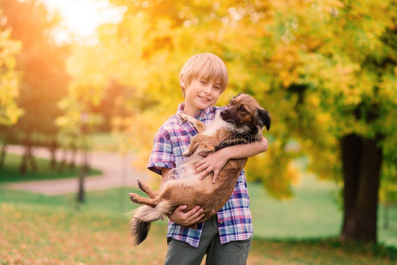 Boy Hugging Dog and Plyaing with in the Fall, City Park Stock Image ...