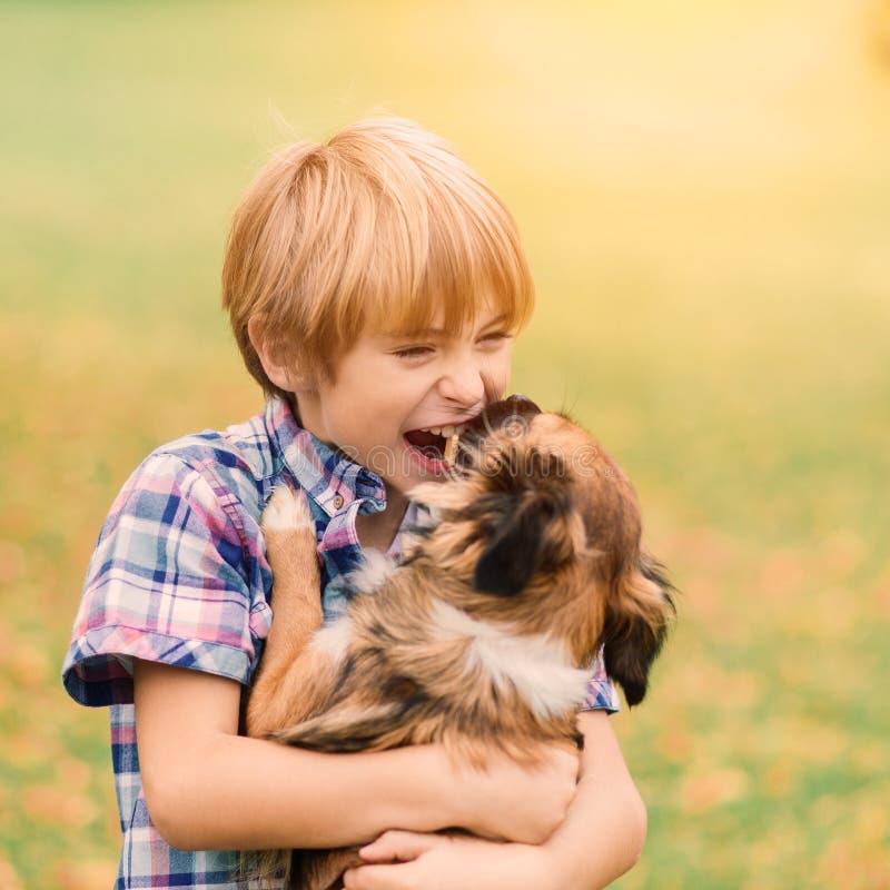 Boy Hugging Dog and Plyaing with in the Fall, City Park Stock Photo ...