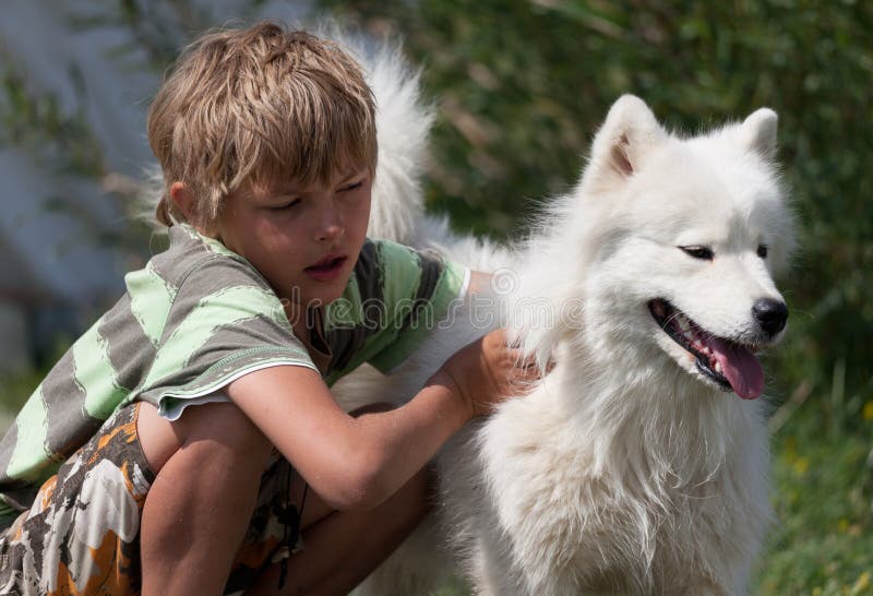 Boy hugging a fluffy dog stock photo. Image of laika - 35388734
