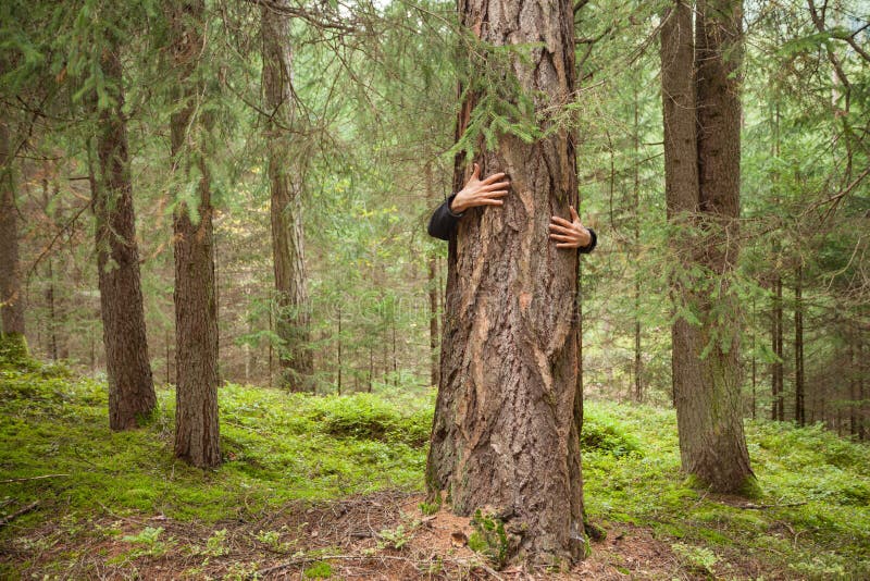 A Boy Hugging A Tree In The Woods Picture. Image: 114192949