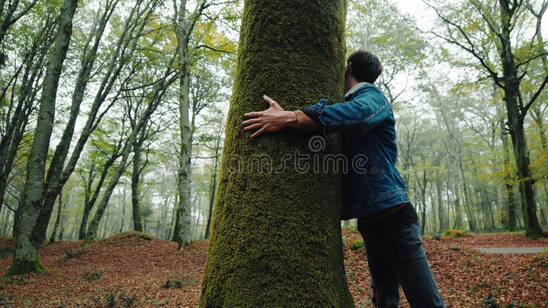 Boy Hugs Tree Trunk. Love for Nature Stock Video - Video of wellbeing ...