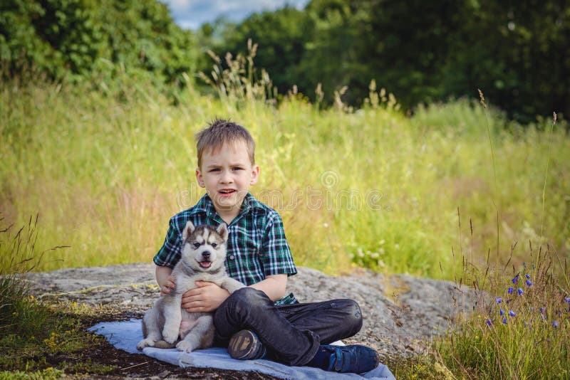 The boy with husky puppy stock photo. Image of canine - 97703390