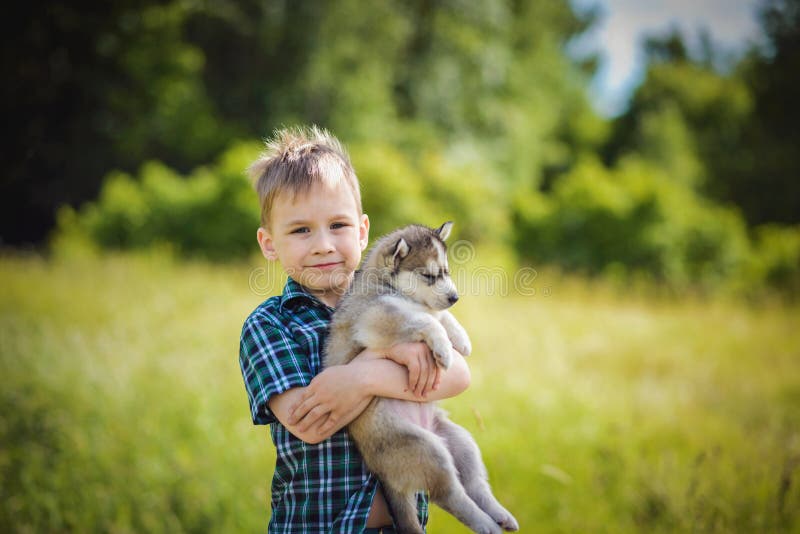 The boy with husky puppy stock photo. Image of adorable - 97703394