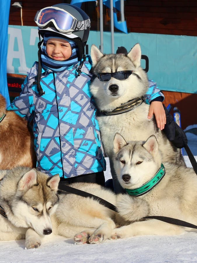 Boy and husky stock photo. Image of shoot, helmet, playing - 89622070