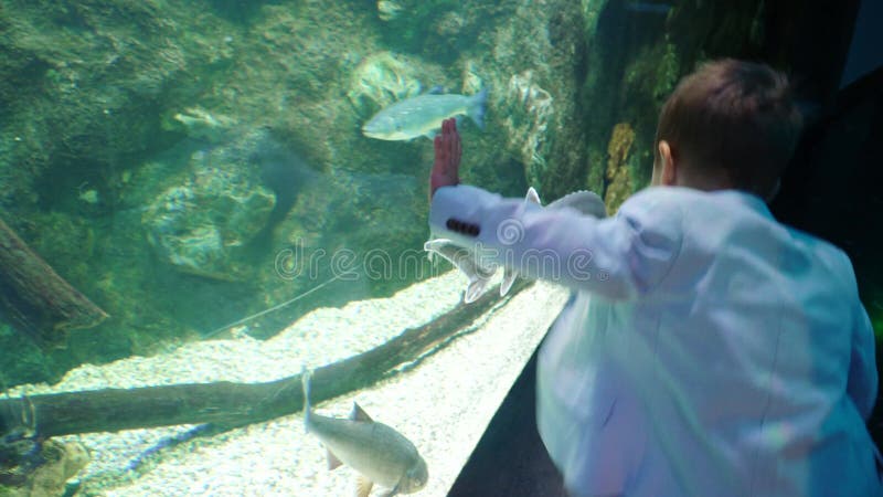 Boy in a Jacket Looks at Fish Stock Footage - Video of ocean, russian ...