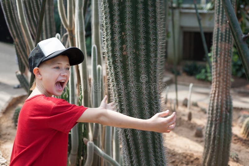 Boy Jokingly Hugging Cactus and Screams. Stock Photo - Image of ...