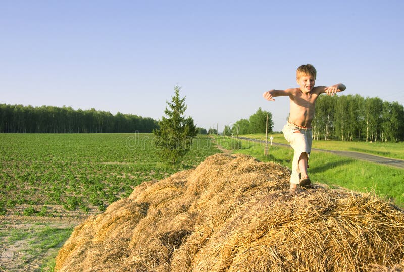 Boy Jump on a Hayrick and Throw a Straw Stock Photo - Image of haystack ...