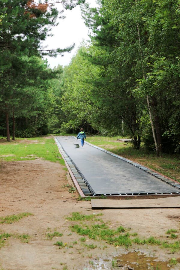 Boy Jumps on Long Trampoline in the Forest Stock Image - Image of play ...