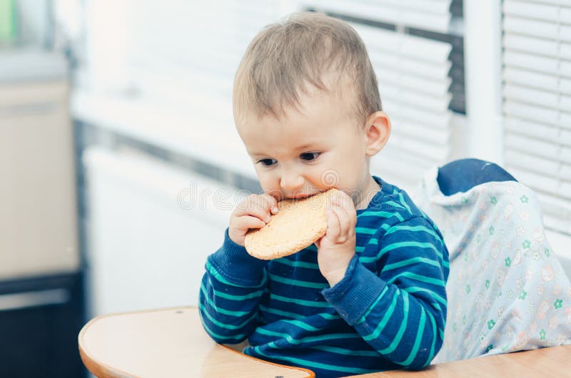 The Boy in the Kitchen Eating Cookies Stock Photo - Image of indoors ...