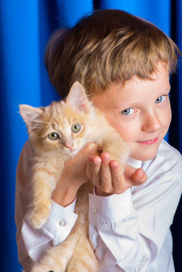 The boy with the kitten stock image. Image of boys, children - 60946681
