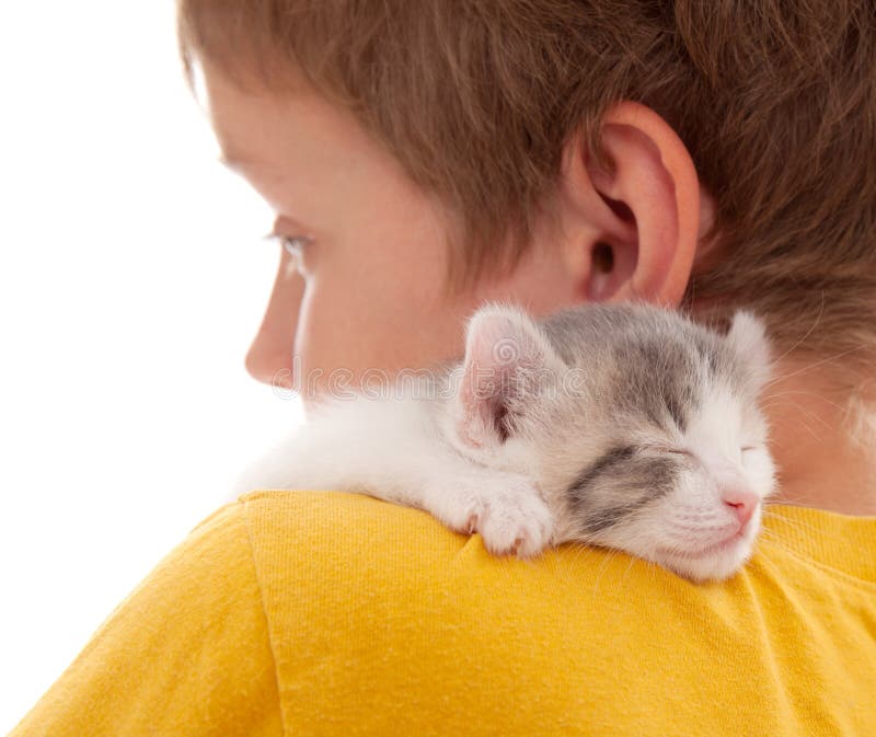 Boy and kitten stock image. Image of furry, feline, little - 30369101