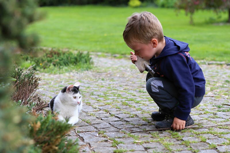 126 Cat Kneeling Photos - Free & Royalty-Free Stock Photos from Dreamstime