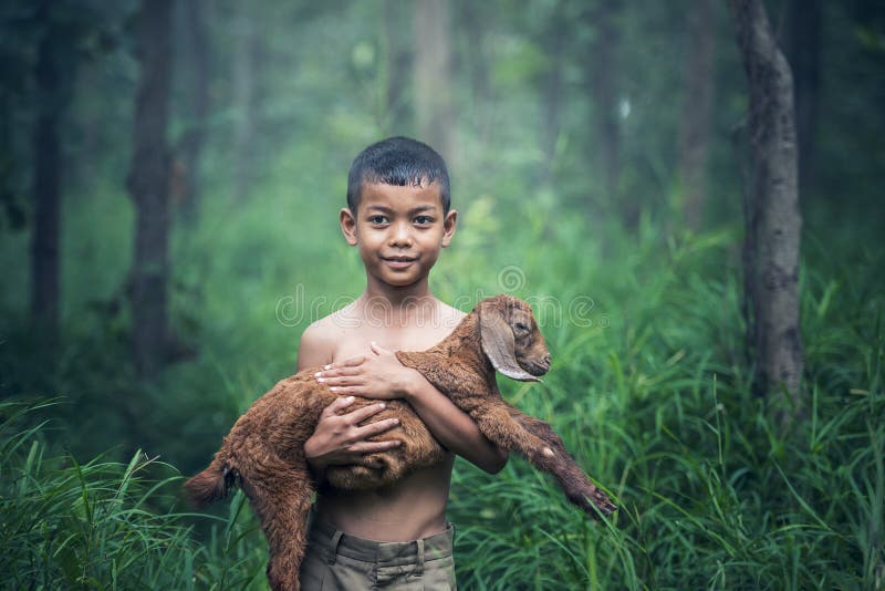 Boy With Lamb Picture. Image: 95476849