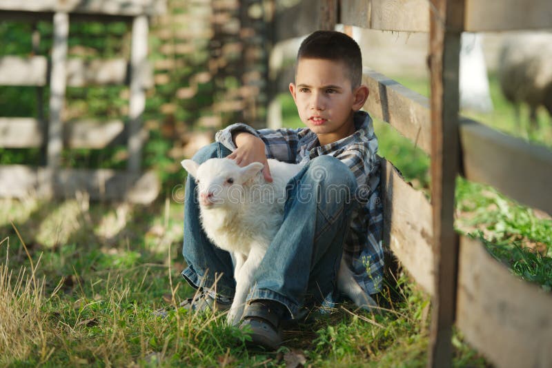 Boy with lamb on the farm stock image. Image of farm - 57669367
