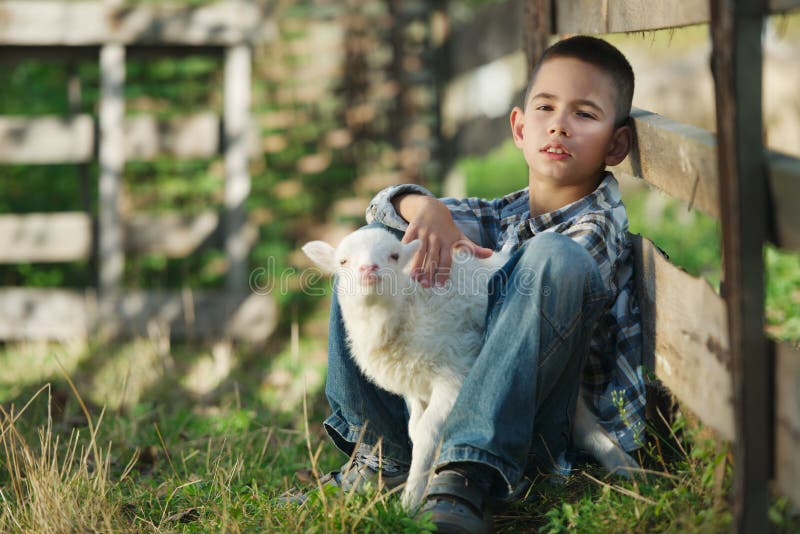 Boy with lamb on the farm stock image. Image of beautiful - 57669513