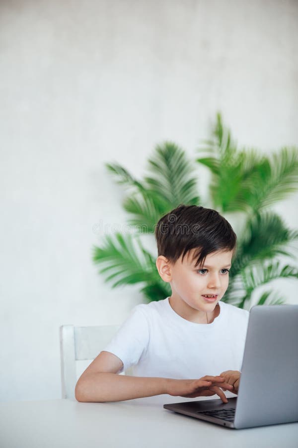 Boy Learning Online with a Laptop at Table at Home Stock Image - Image ...