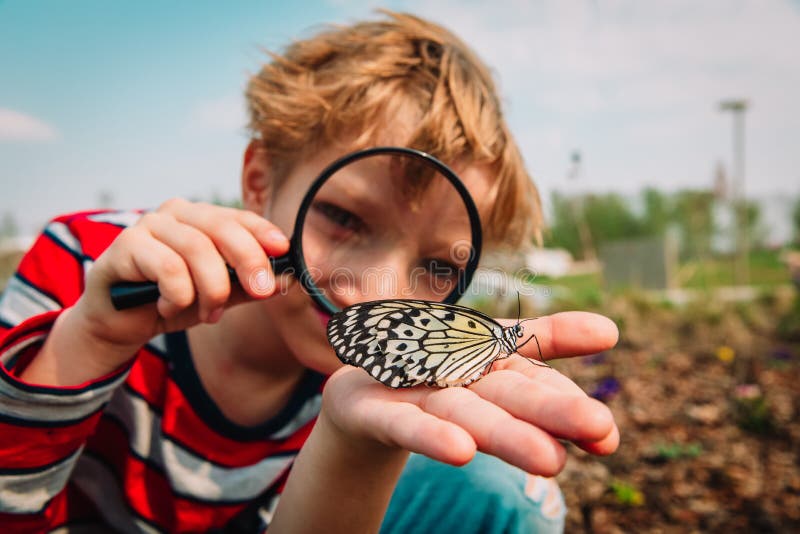Boy Looking at Butterfy, Kids Learning Nature Stock Photo - Image of ...