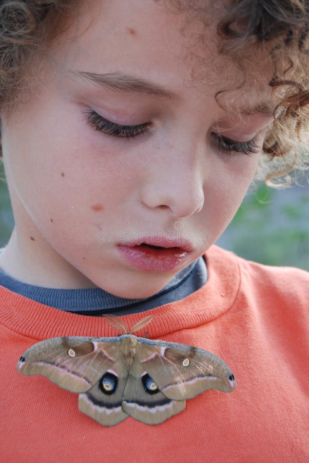 Boy Looking At Moth Picture. Image: 2123235