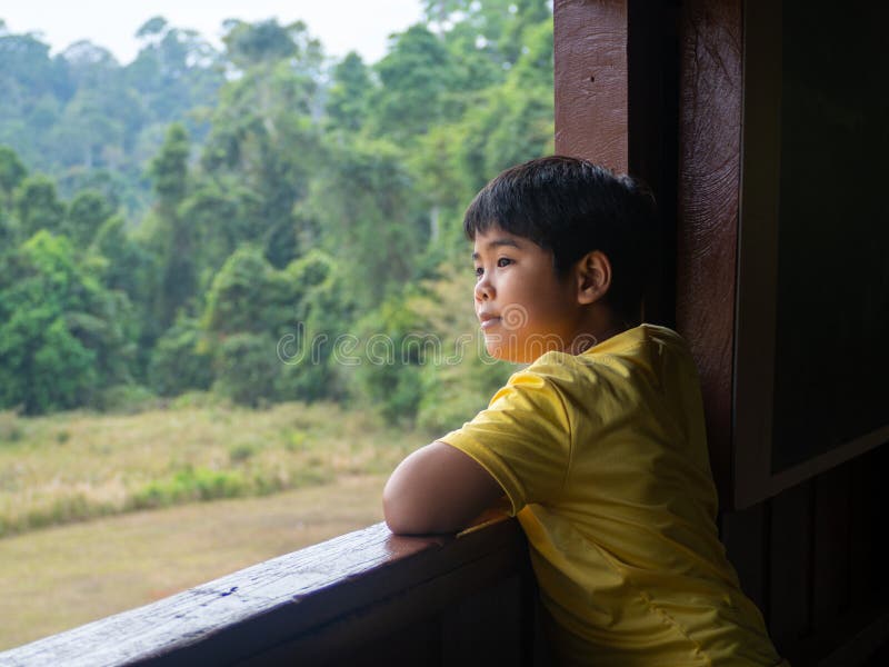 Boy Looking Out Window Looking at the Green Forest Stock Image - Image ...