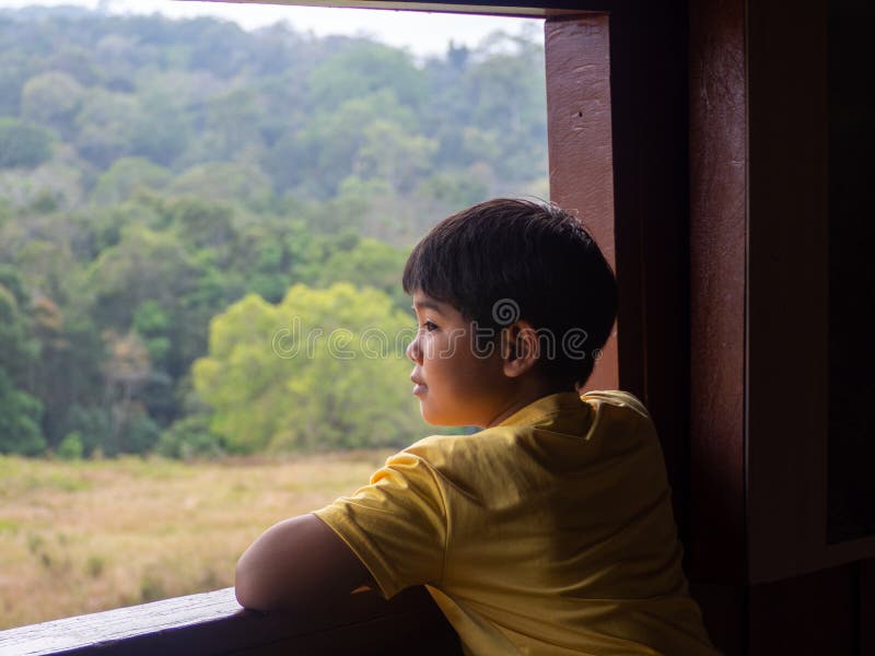 Boy Looking Out Window Looking at the Green Forest Stock Photo - Image ...