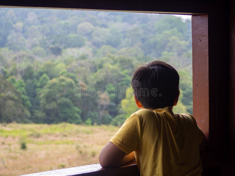 Boy Looking Out Window Looking at the Green Forest Stock Photo - Image ...