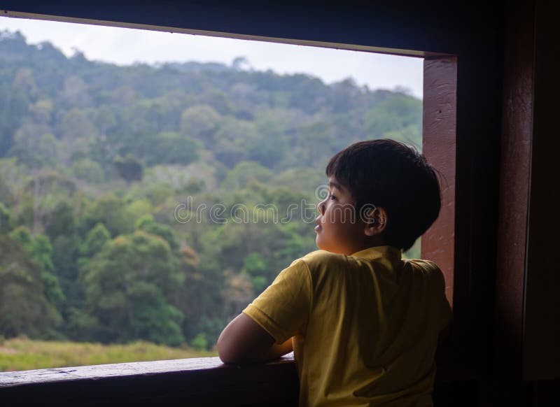 Boy Looking Out Window Looking at the Green Forest Stock Image - Image ...