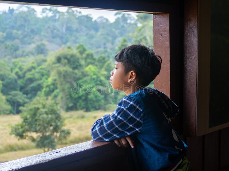 Boy Looking Out Window Looking at the Green Forest Stock Image - Image ...