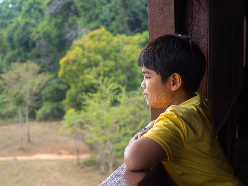 Boy Looking Out Window Looking at the Green Forest Stock Image - Image ...
