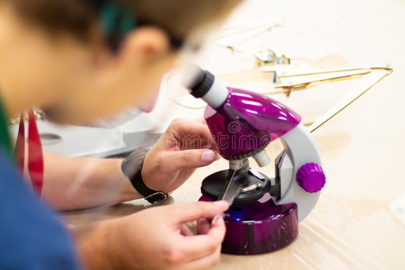 Boy Looking through a Purple Microscope at a Bird Feather at a Children ...