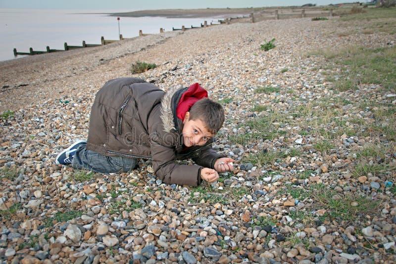 324 People Looking Sea Shells Stock Photos - Free & Royalty-Free Stock ...