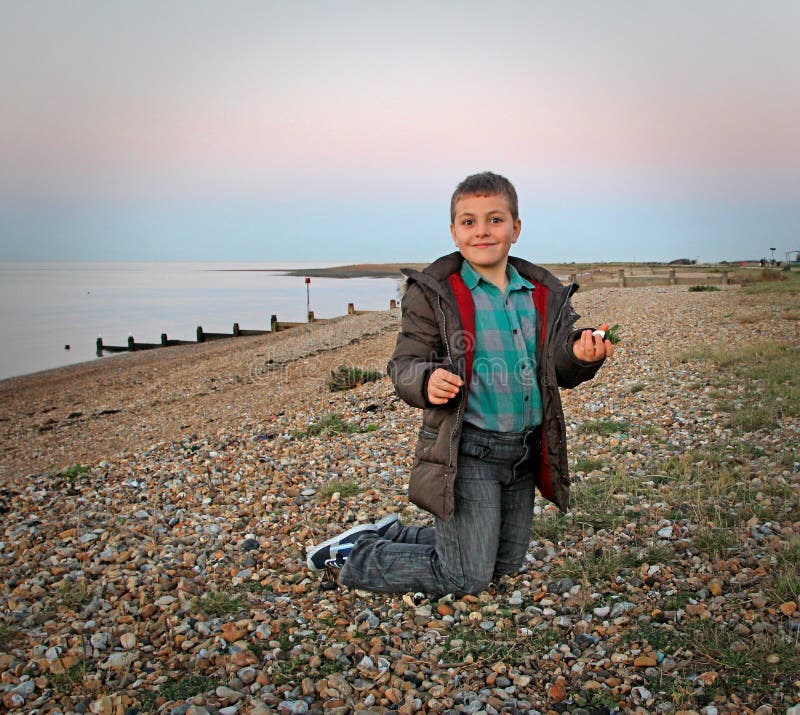 Boy looking for shells stock image. Image of holding - 46130947