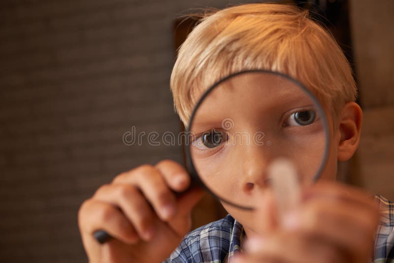 Examining detail stock photo. Image of hobby, examining - 104936342