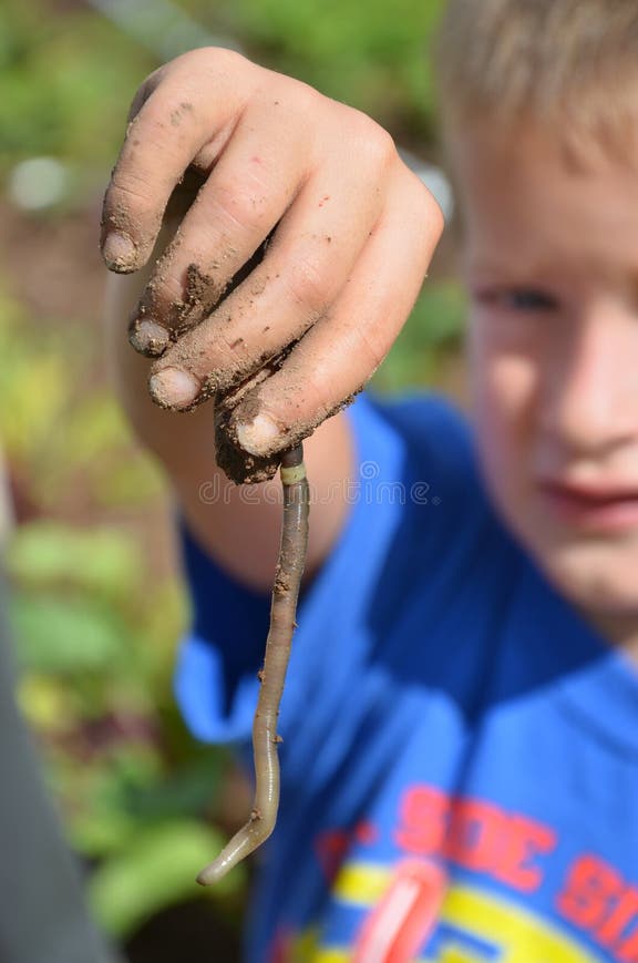 Boy Looking at a Worm on His Hand Stock Image - Image of dirt, farming ...