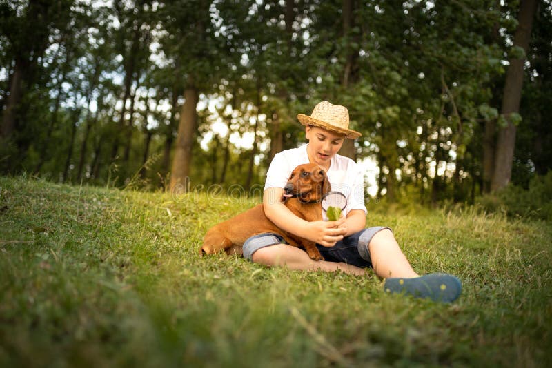 Young explorer with a dog stock image. Image of nature - 191198349