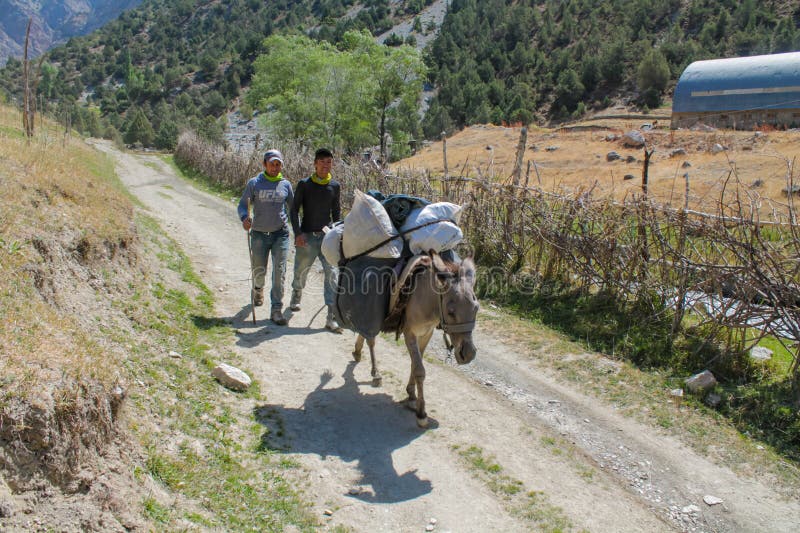 Boy and Man Riding a Donkey on the Mountain Path Editorial Stock Photo ...