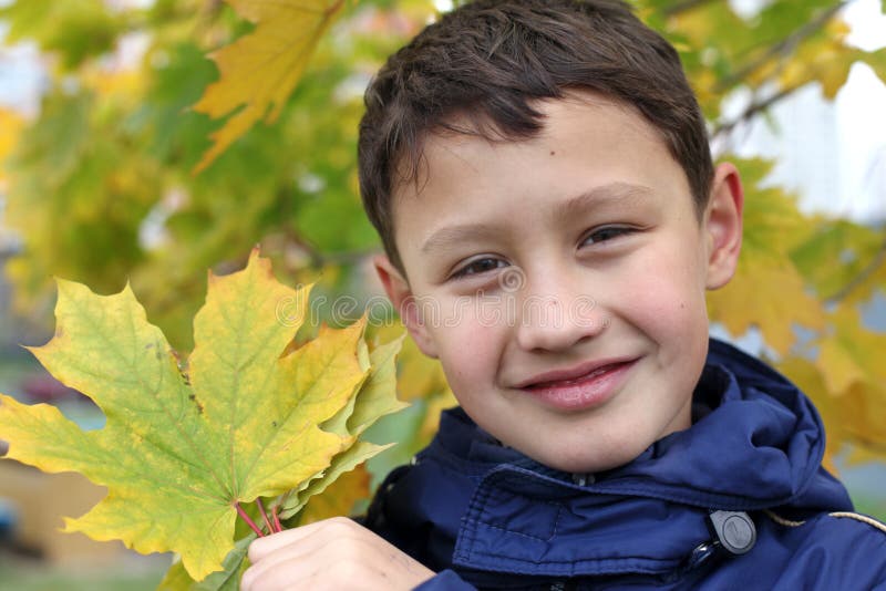 Boy with maple leaf stock photo. Image of caucasian, environment - 33126930