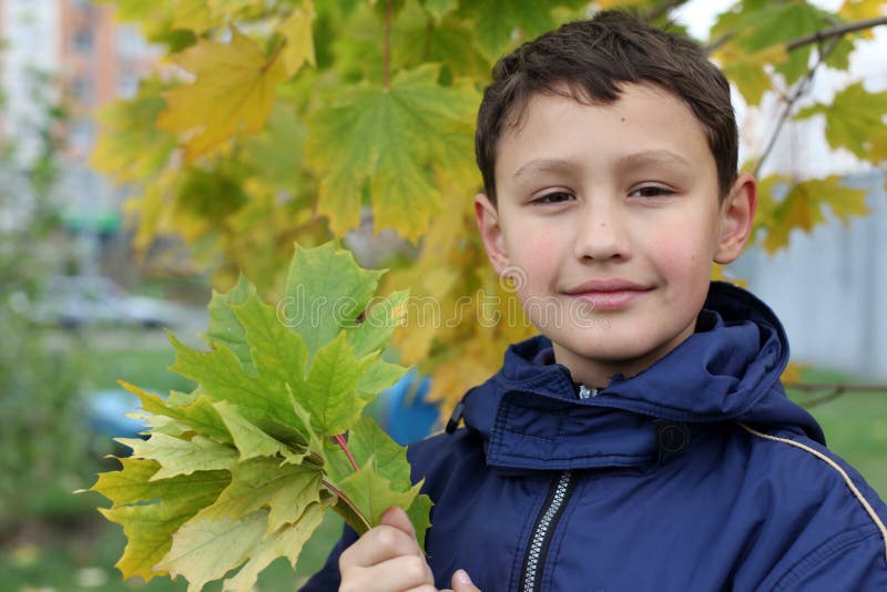 Boy with maple leaf stock photo. Image of caucasian, environment - 33126930